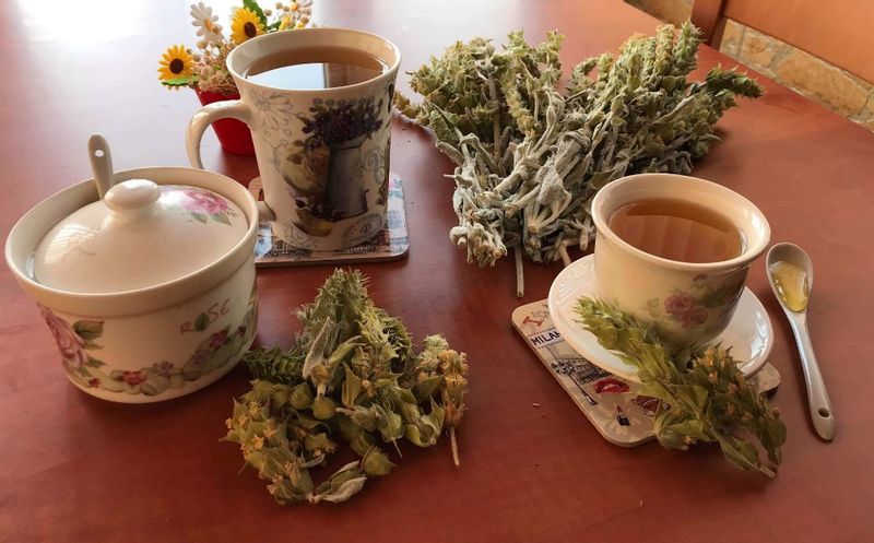 Découvrez le thé Mursalski - Toutes les actualités sur les jeux Vidéo ...